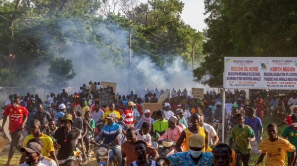 Cameroun : le souffle pour les résultats de la présidentielle 2025 ...